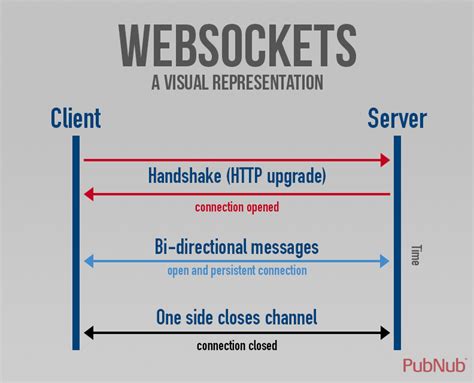 membuat app chat sederhana dengan node js dan websocket teman coding
