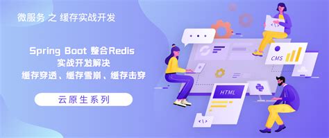 微服务 spring boot 整合redis 实战开发解决高并发数据缓存 redis缓存 bug终结者 infoq写作社区
