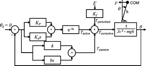 block diagram of the postural control system in the laplace domain pd download scientific