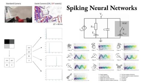 spiking neural networks where neuroscience meets artificial intelligence