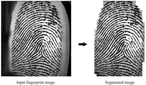 solved [python] [opencv] fingerprint segmentation