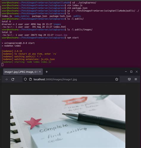 how to fetch data from localhost using php and react js how to vrogue