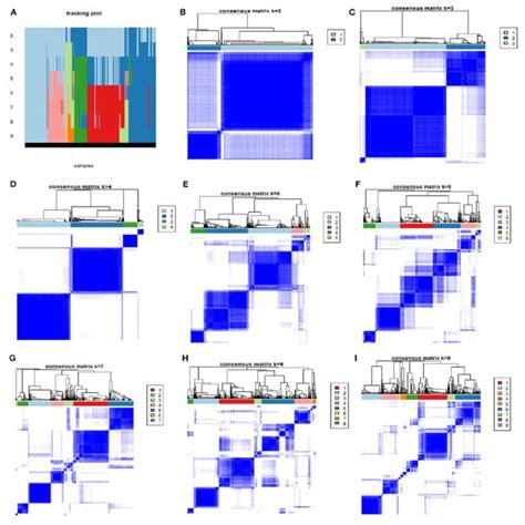 the consensus matrix heatmaps of consensus k means clustering a download scientific