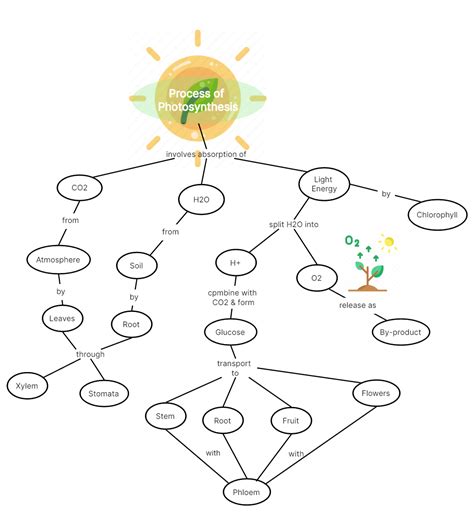 20 Creative Concept Map Examples For Students Boardmix
