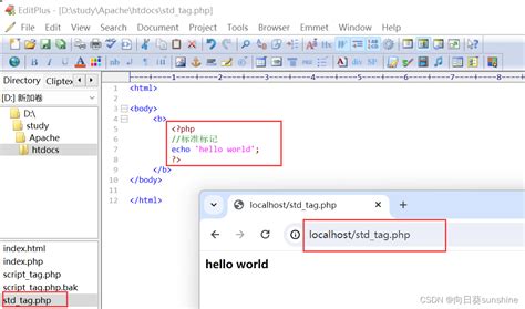 【php基础】php语法入门之变量与常量 掌握php变量、常量、表达式的定义和使用原理 csdn博客