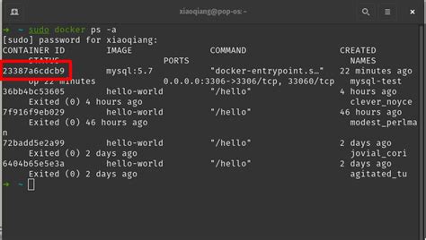 docker kali安装mysql linux环境下使用docker安装mysql csdn博客