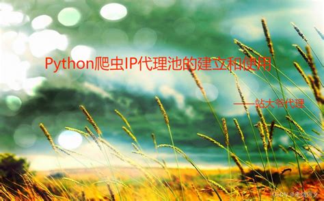 python爬虫ip代理池的建立和使用