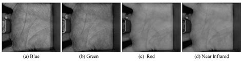 sensors free full text an improved recognition approach for noisy multispectral palmprint by