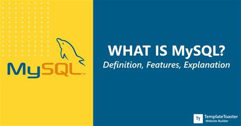 what is mysql definition features explanation templatetoaster blog