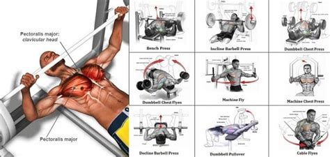 Pump Up Your Pecs With These Chest Exercises