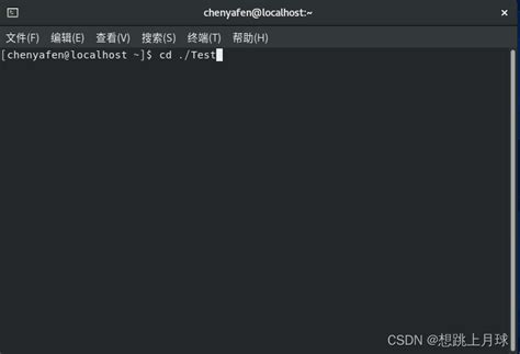 c语言实现udp数据传输（centos测试） c语言 udp发送数据 csdn博客