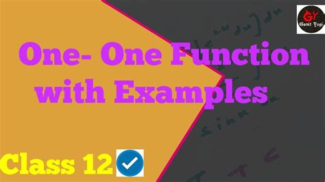 one one function one one function with examples one one function definition class 12 maths