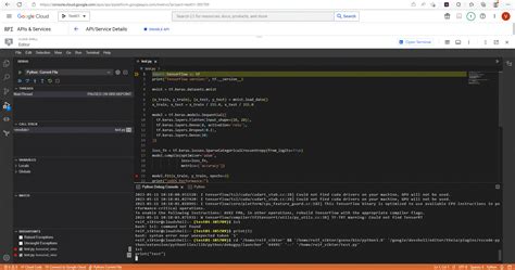 Google Cloud Platform GCP Code Editor Python Debugger Does Not Show