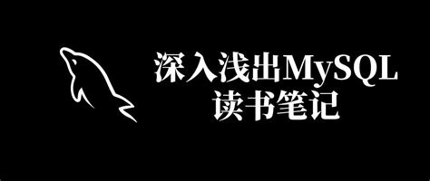 mysql数据类型 极客之音