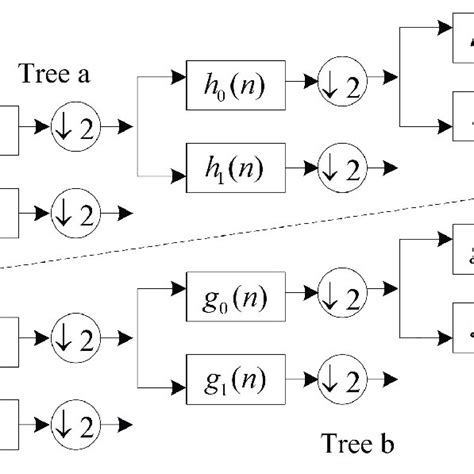two level 1d dual tree complex wavelet transform download scientific diagram