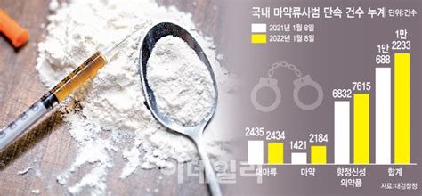 유럽서 마약 3분의 1 유통 대형 마약조직 잡혀 네이트 뉴스