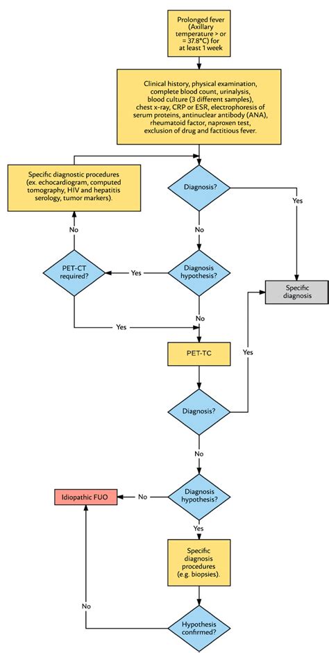 ALGORITHM PROPOSED FOR THE DIAGNOSTIC APPROACH TO PATIENTS WITH FUO