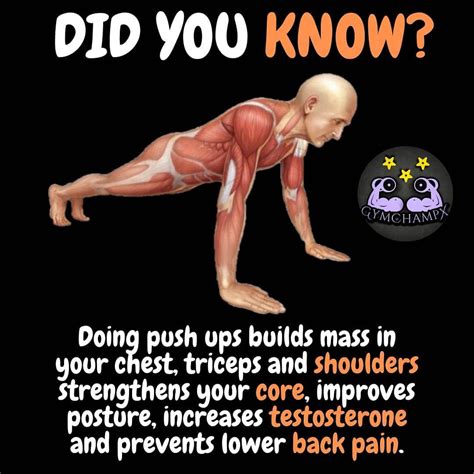 24 Essential Push Up Variations For Total Body Strength And Intensive Gains In