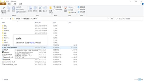 解决Selenium WebDriver 加载页面时出现浏览器闪退 webdriver闪退 CSDN博客