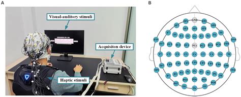 frontiers recognizing emotions induced by wearable haptic vibration using noninvasive