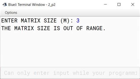 sort non boundary elements of matrix java program knowledgeboat