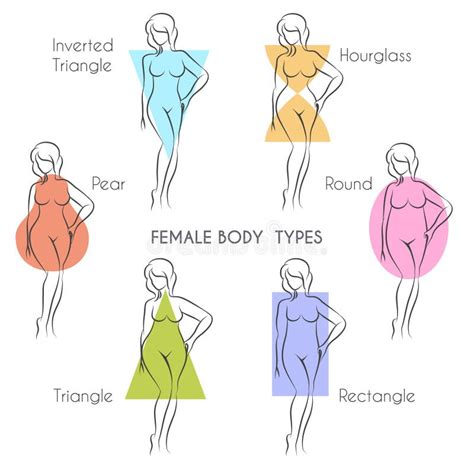 Body Shape Stock Illustrations 148 731 Body Shape Stock Illustrations