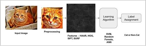 what is the working of image recognition and how it is used