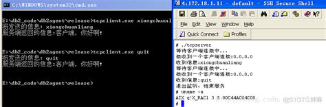 网络编程 1 跨平台的socket同步阻塞工作模式例子 xcltapestry2的技术博客 51cto博客