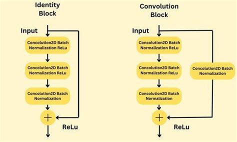 Resnet In Pytorch Coding Ninjas