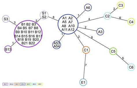 minimum spanning tree based on core genome multilocus sequence typing download scientific