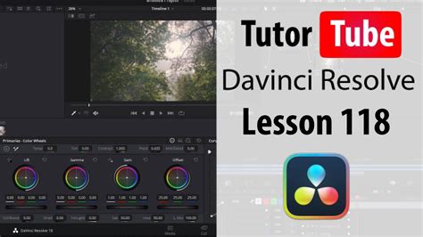 Davinci Resolve Tutorial Lesson 118 Subtitle Exporting Options