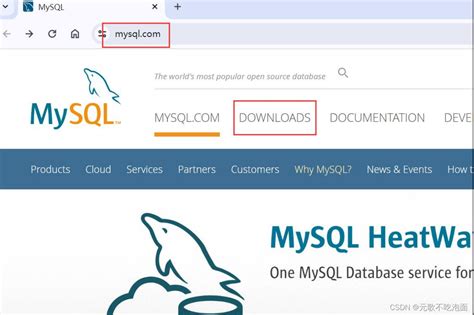 [mysql] 详细mysql8 0完整的下载安装教程 mysql8 0下载 csdn博客