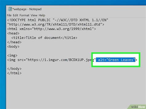 Come Inserire Immagini In Html Passaggi