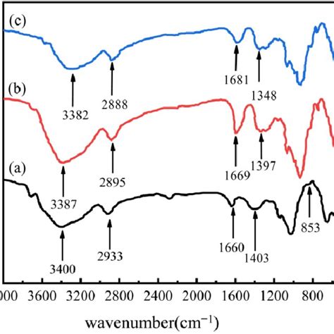 ftir spectra for aam msm a aam msmpm b and cd ii aam msmpm c download scientific diagram