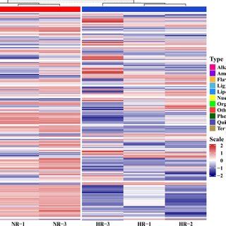 Hierarchical Clustering Heat Map Of Differential Metabolites Isolated