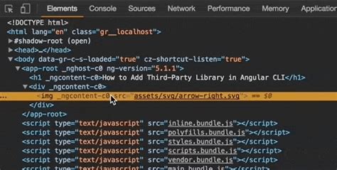 how to add third party library in angular cli