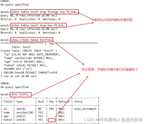 数据库之mysql基本操作命令 数据库语句中 执行 命令可以进入mydb数据库 csdn博客