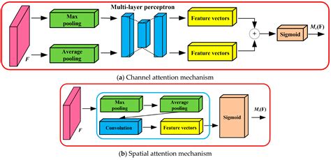 algorithms free full text a plant disease classification algorithm based on attention
