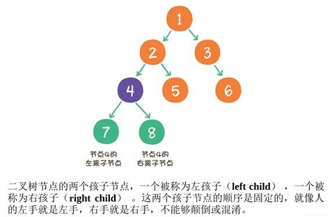 数据结构 树与深度优先遍历 树的深度优先遍历 csdn博客