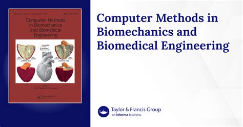 fluid solid coupling numerical simulation of entire rat caudal vertebrae under dynamic loading