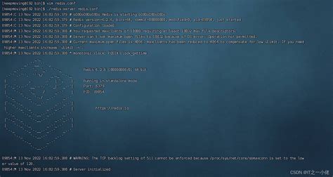 centos7 安装redis详细教程 centos7安装redis csdn博客