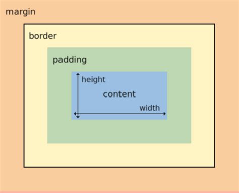 Free Code Camp Learn HTML By Building A Cat Photo App AND Learn The