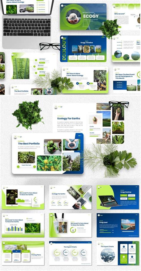 Ecogy Ecology Keynote In 2023 Presentation Deck Slides Design