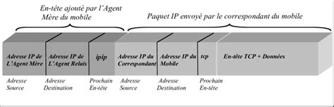 encapsulation ip dans ip download scientific diagram