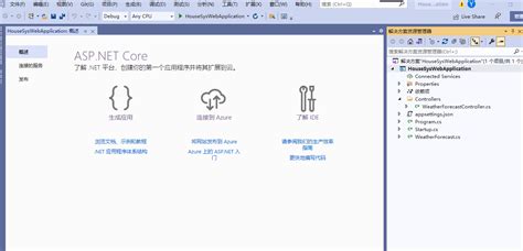 Asp net core Web Api 配置swagger中文 swagger中weatherforecast怎么删除 CSDN博客