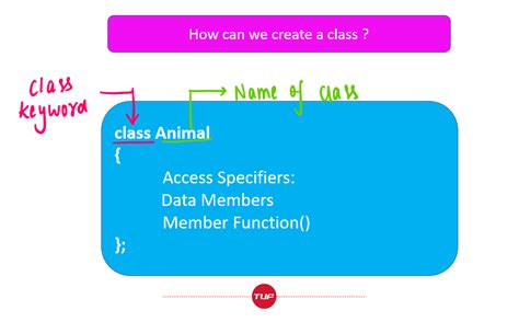 C Classes And Objects Tutorial