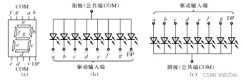 数码管动态显示7段共阴极数码管编码表 Csdn博客