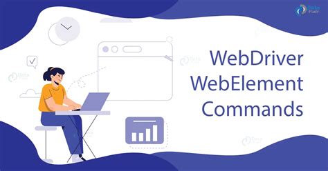 selenium webdriver webelement commands dataflair