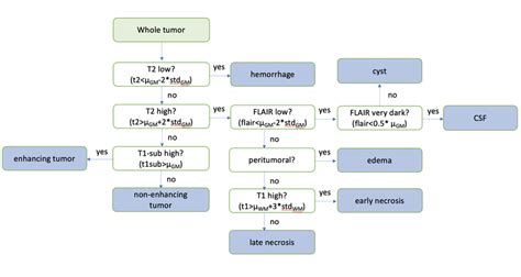 decision rules for subregion segmentations download scientific diagram