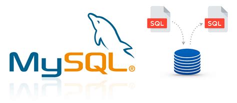 export and import mysql database using command prompt by nottdev medium